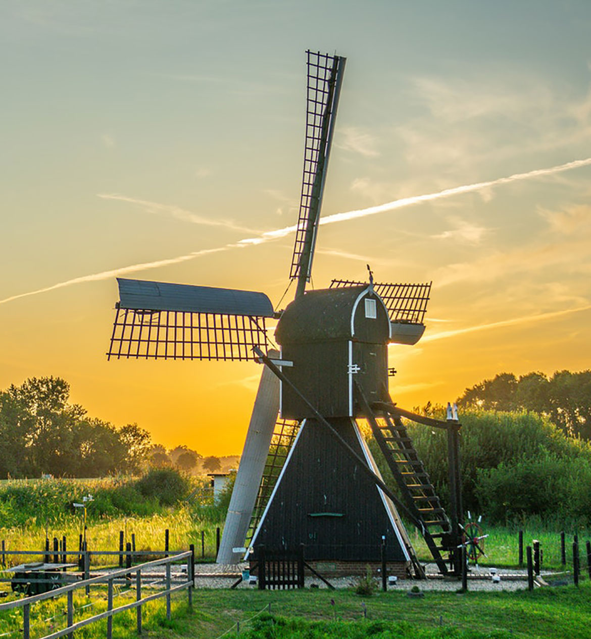 How to Makee Quick Pickled Vegetables – Welcome's Natural Spices